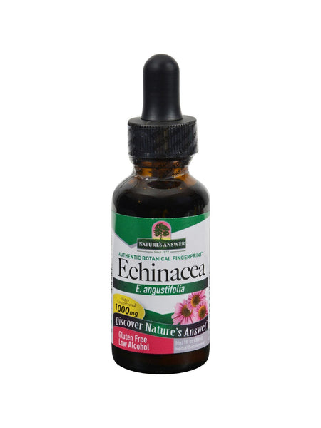 Echinacea Root Extract, 1 oz – Herbs Direct